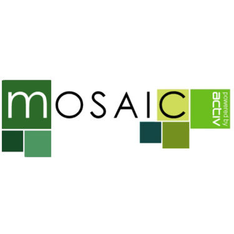 BCS Mosaic – Adult Community Learning